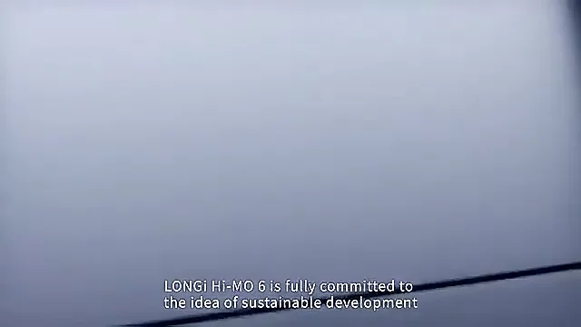 Longi Solar Panel Explorer Himo X6 Lr5-72hth 565~585m 22.6% Solar ...