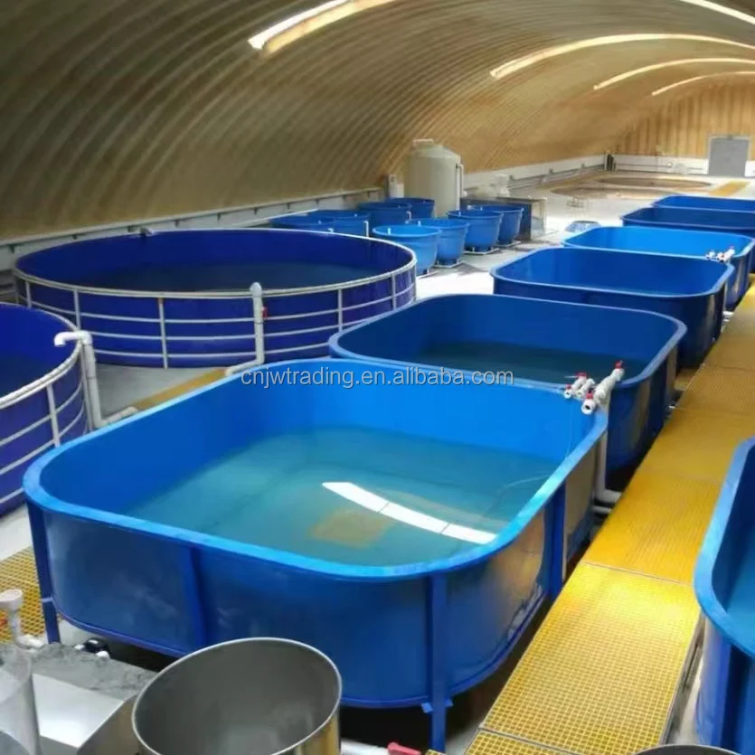 Custom Aquarium Indoor Fiberglass KOI Pond with Filtration
