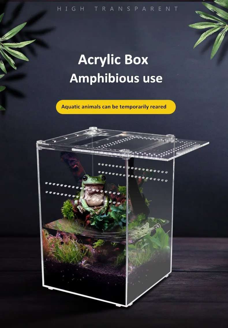 Magnetic Acrylic Reptile Terrarium Tarantula Enclosures Feeding Box ...