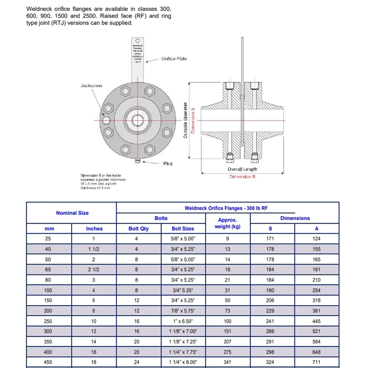 ASME B16.36 Orifice Flange - Customized Support for Pipelines