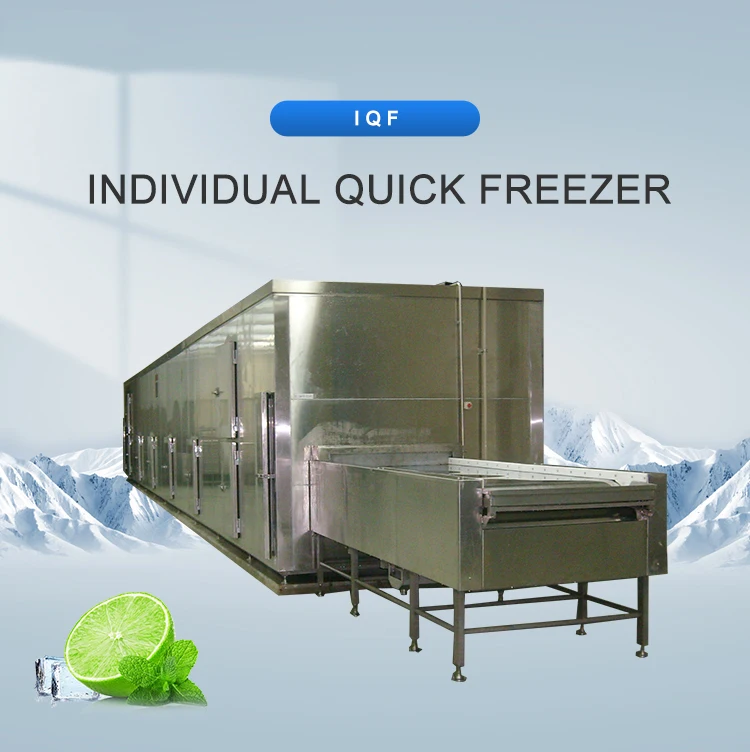 Quick Freezing Equipment Iqf Freezing Tunnels - Buy Iqf Freezing ...