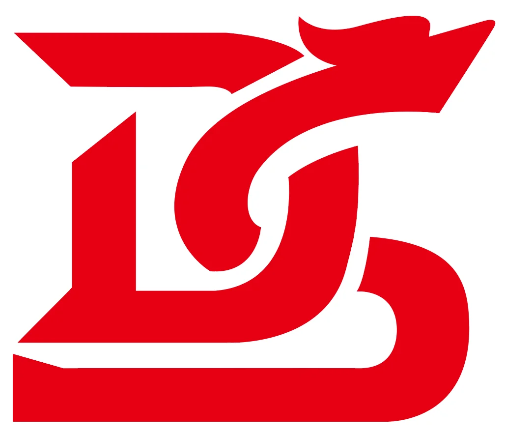 Company Overview - Dongying Dongsheng Mechanical Automation Co., Ltd.