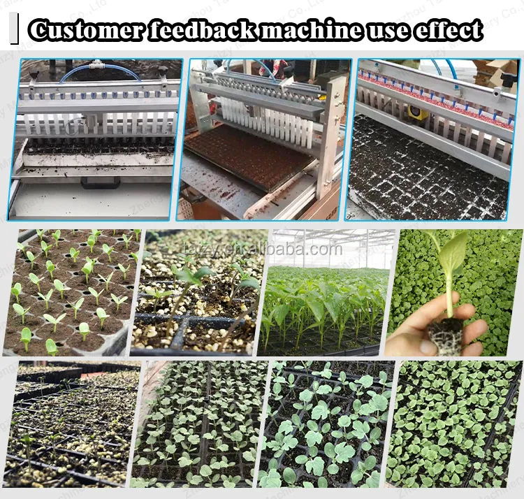 Automatic Seed Planting Machine - Efficient Nursery Seeding