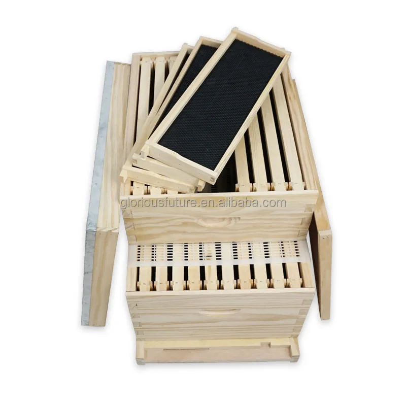 Langstroth Beehive Kit - 20 Frames, Wooden Honey Bee Hive