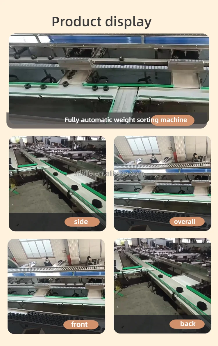 Orange And Tomato Sorting Line Fruit & Vegetable Grading Machine For Weight Size Agricultural ...