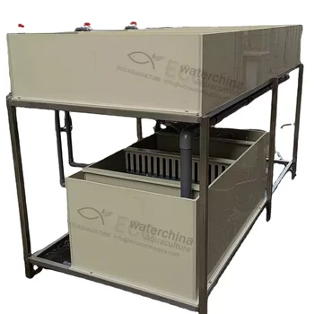 Eco Fish Incubator Catfish Tilapia Hatchery Equipment With Heat Pump ...