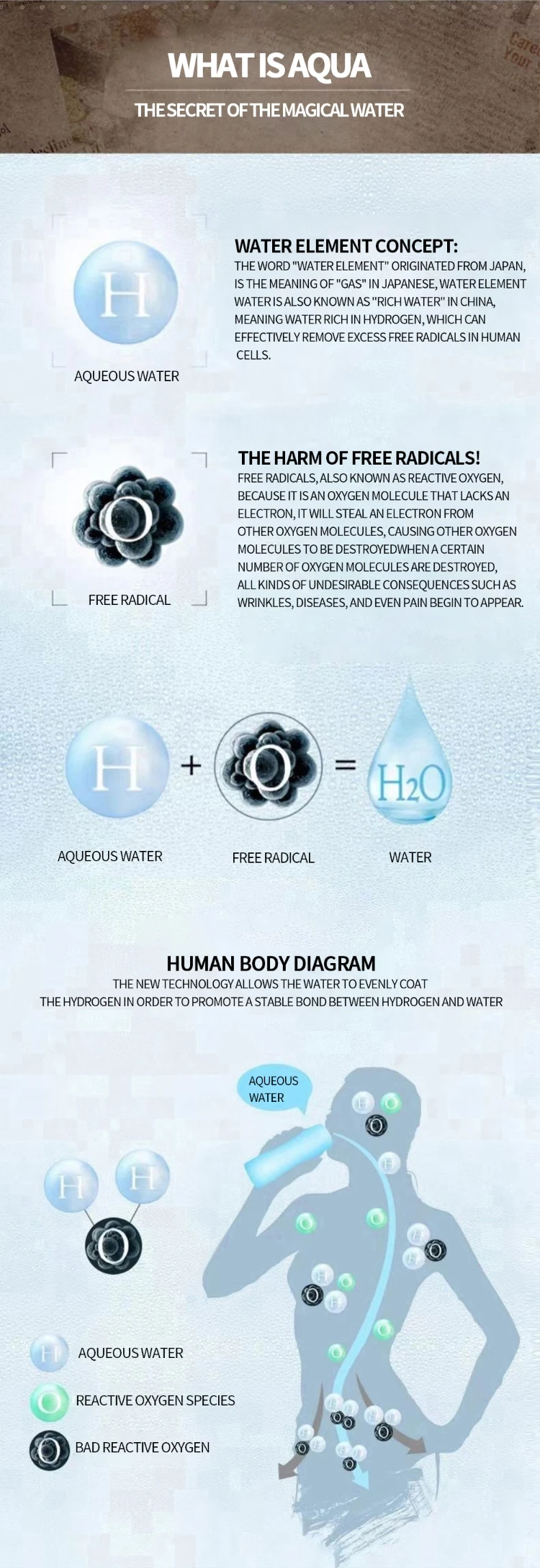 Portable Hydrogen Water Generator - 8000ppb PEM Membrane