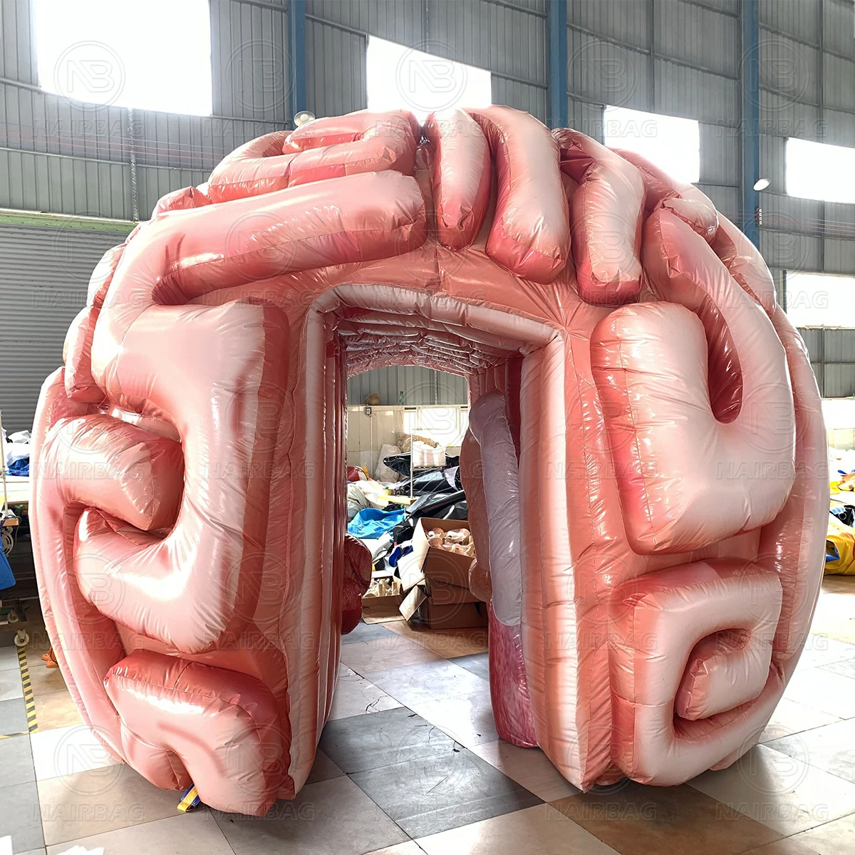 Large Inflatable Brain Tunnel - Perfect for Medical Exhibitions