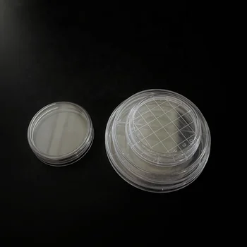 Piring Petri Plastik Laboratorium 75mm,Dudukan Makanan Petri Isi 75mm ...