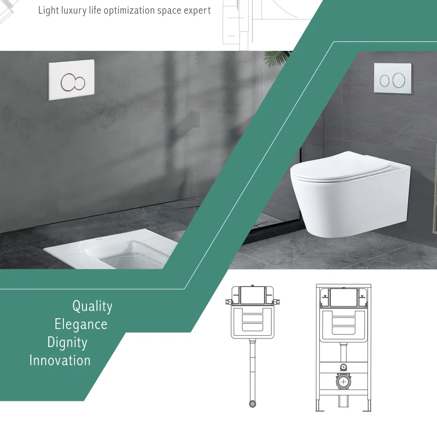 Dual Flush Wall Hung Toilet Flushing WC Concealed Cistern HDPE material ...