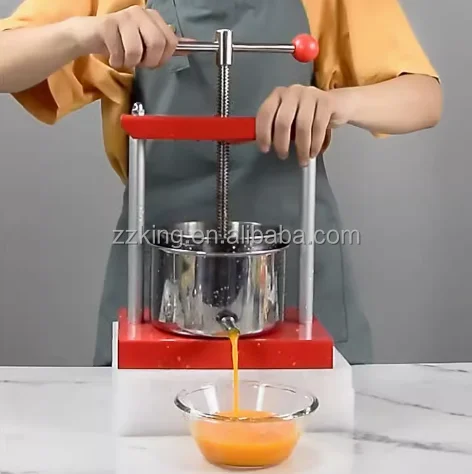 Stainless Steel Manual Juicer - DIY Apple Orange Carrot Juice Maker