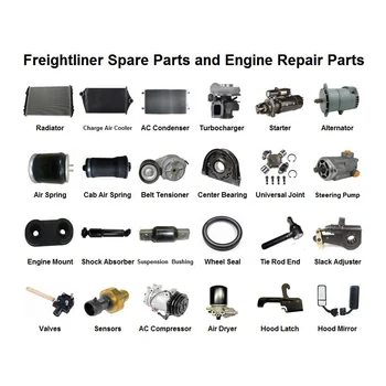 Supply Various Spare Parts And Engine Repair Parts For Freightliner ...