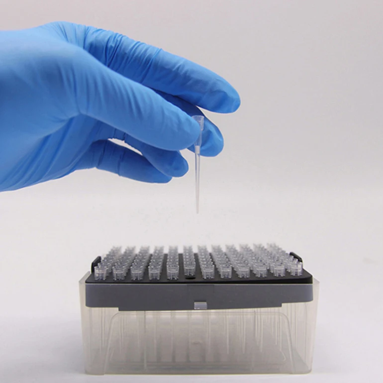 10ul Boxed Sterile Pipette Tip Filter Pipette Tips Rack For Lab - Buy ...