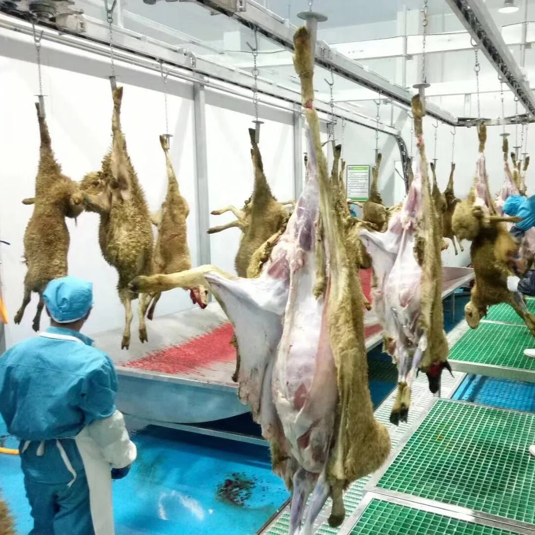 Sheep Slaughtering Equipment Carcass Processing Automatic Convey Rail ...
