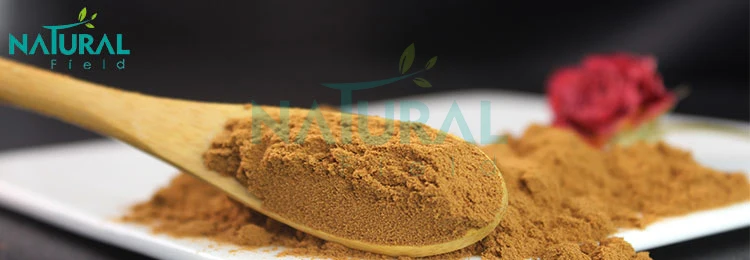 Benefits Body Pure Natural Ganoderma Lucidum Spore Powder Sell ...