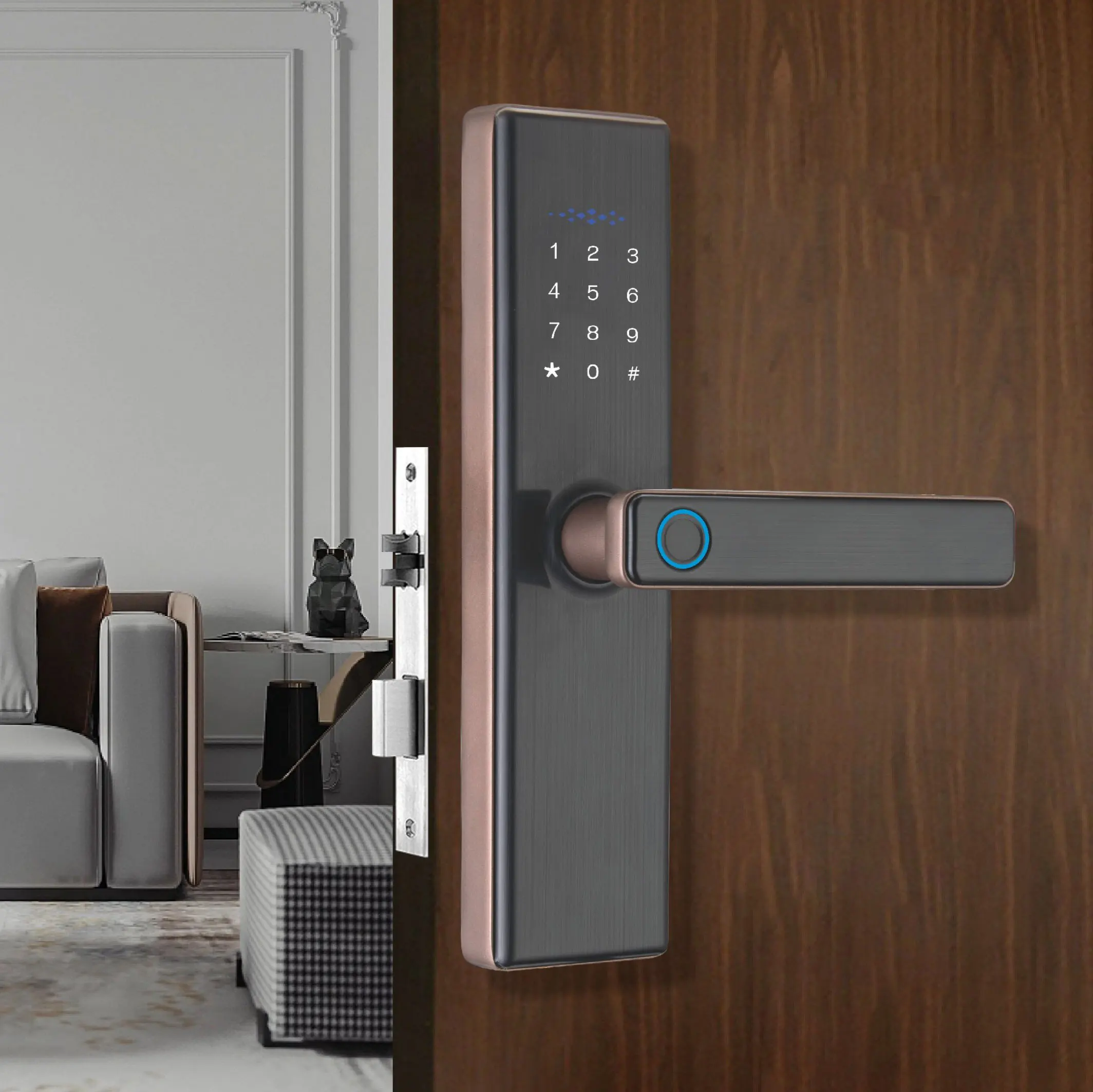 Intelligent Handle Biometric Fingerprint IC RFID Card