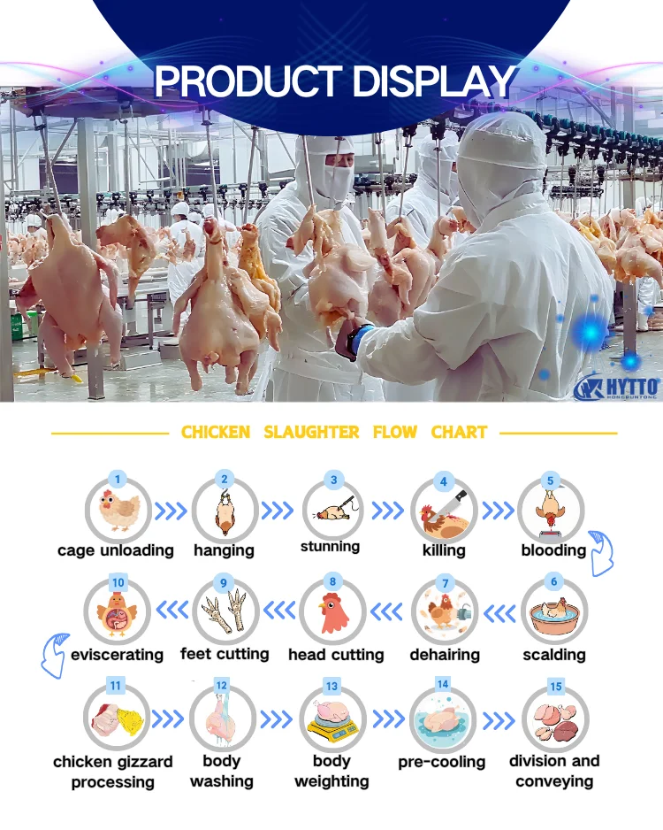Automatic Chicken Slaughtering Machine Poultry Processing Equipment ...