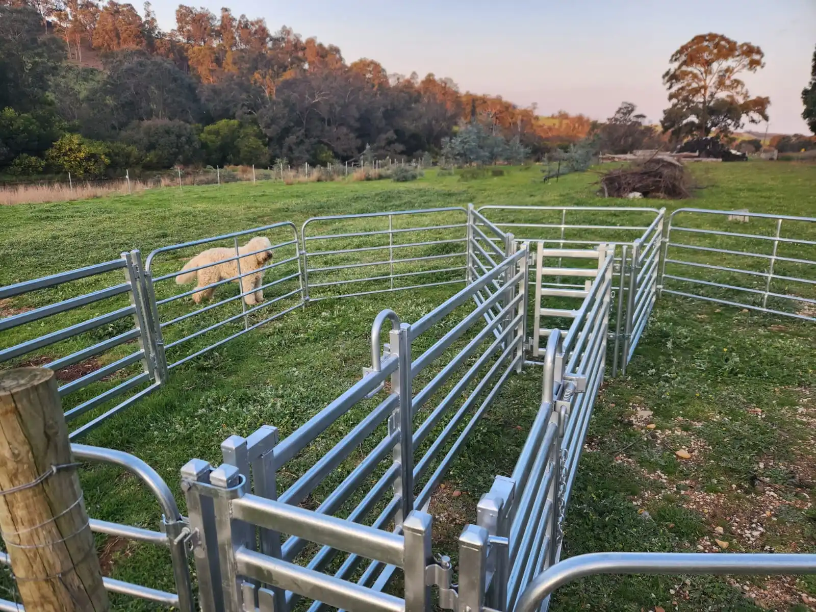 Cattle Yard Panel Sheep Panel Livestock Equipment - Buy Sheep Yard ...