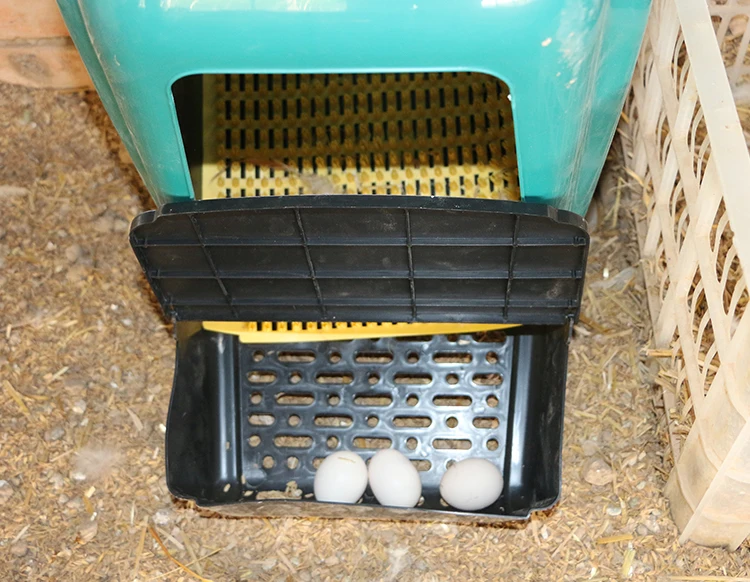Movable Plastic Automatic Chicken Nesting Box for Easy Cleaning - Ideal ...