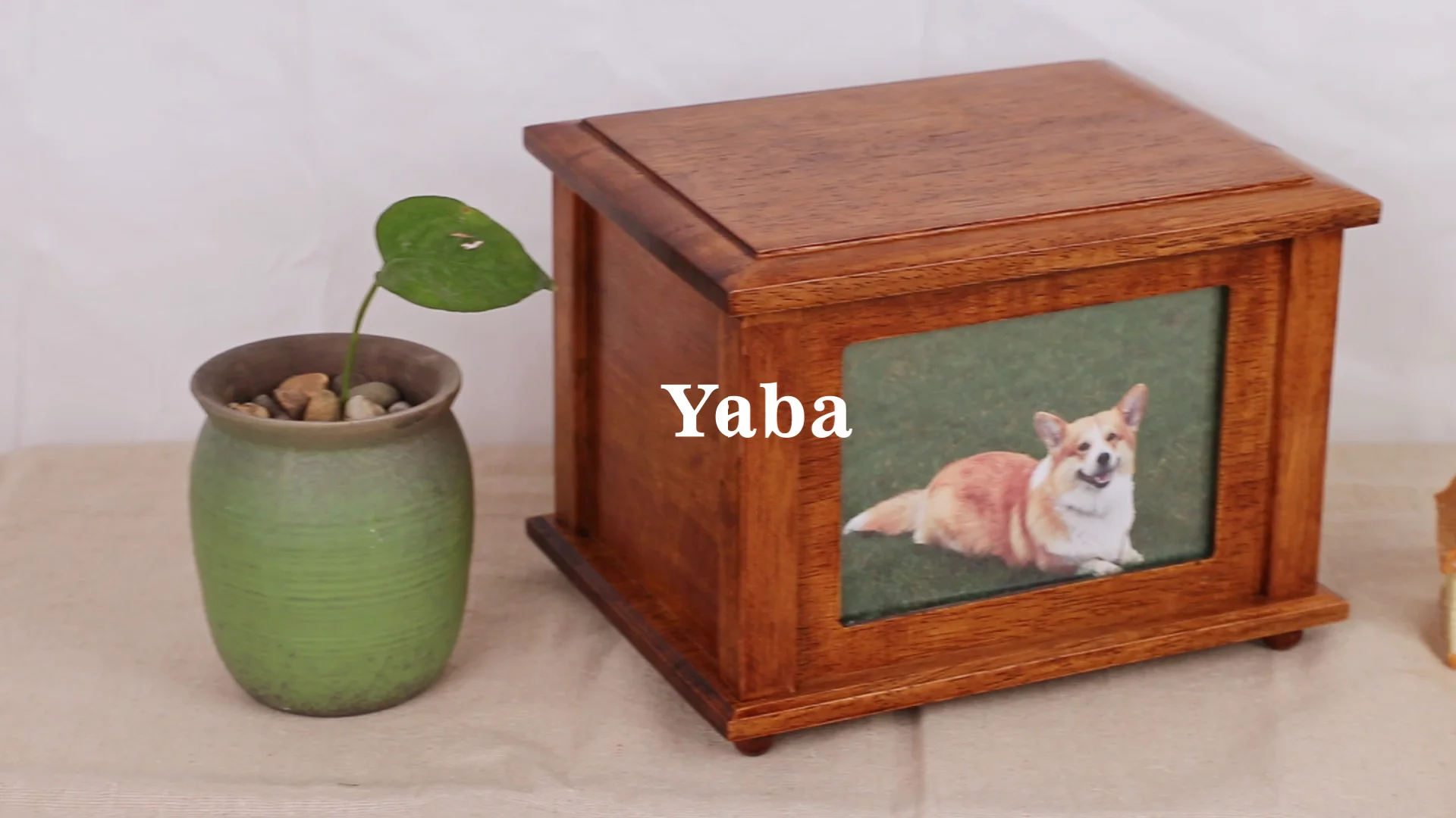 Wholesale Biodegradable Pet Ashes Box,Assembled Dog Solid Wood Coffin ...