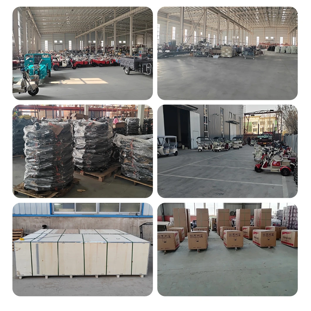 60v Motorized Electric Tricycle for Passenger Auto Model Electric ...