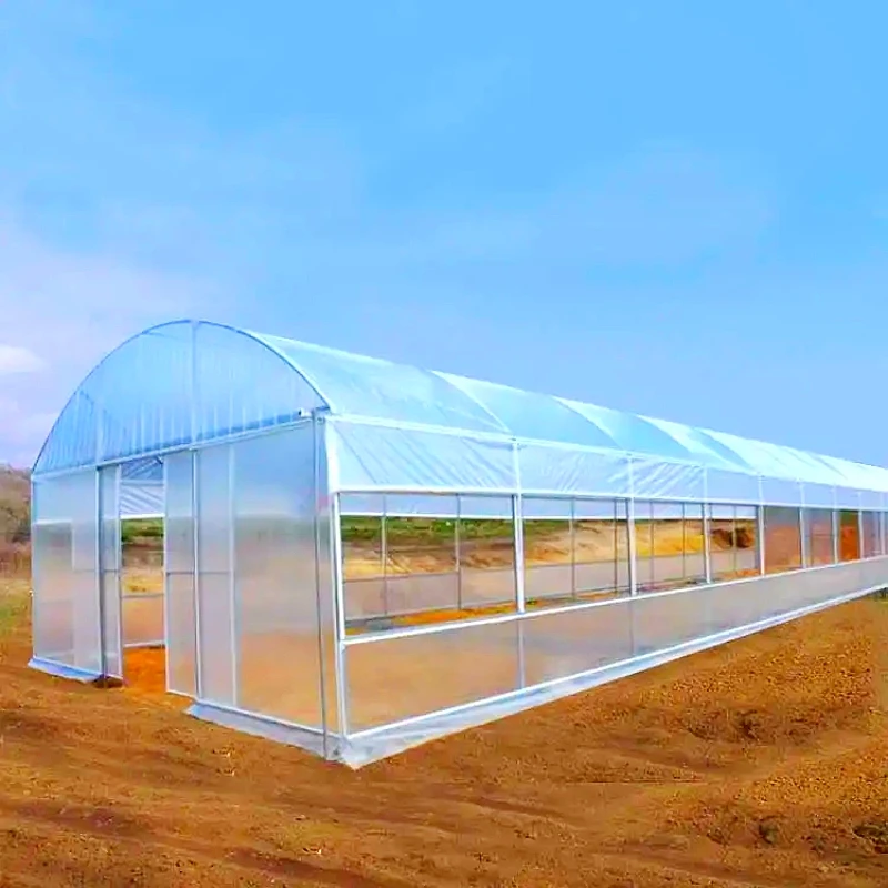 Commercial Agricultural Single Tunnel Solar Dryer Greenhouse Easy ...
