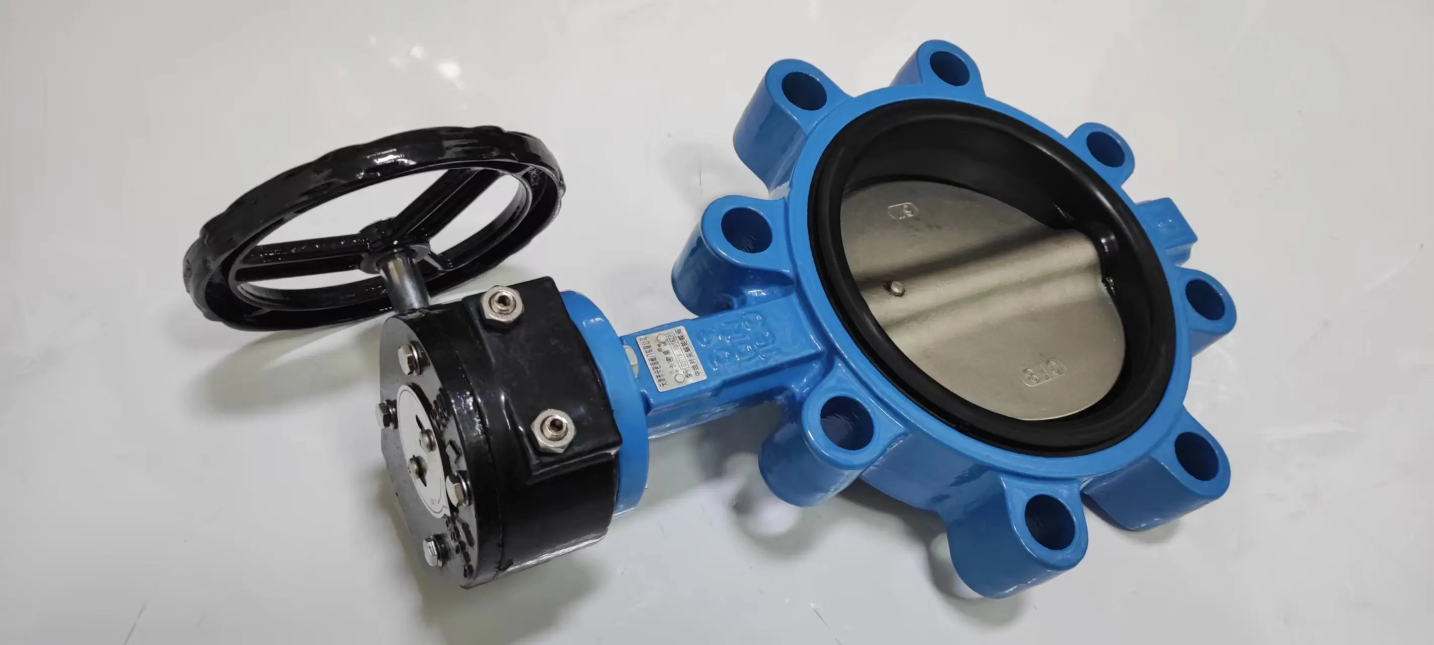 Professional Supply Grooved Stainless Keystone Seat Ring Check ...