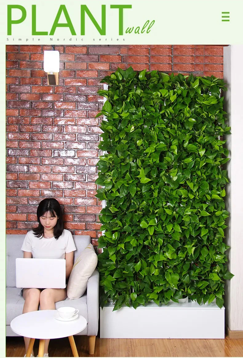 Hydroponic Growing System - 2 Square Meter Indoor Plant Wall for Home ...
