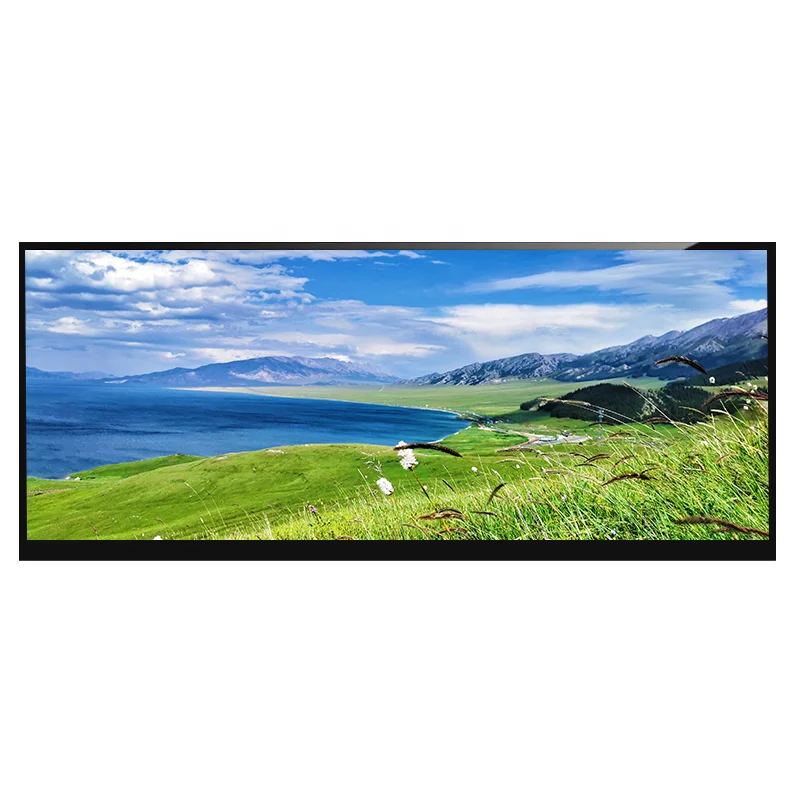 Automotive 12.3'' ips screen 1920x720 wide temperature 12.3 inch tft ...