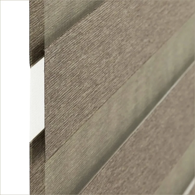 Motorized Twins Dual Zebra Blind Combi Zebra Roller Curtain Electric ...