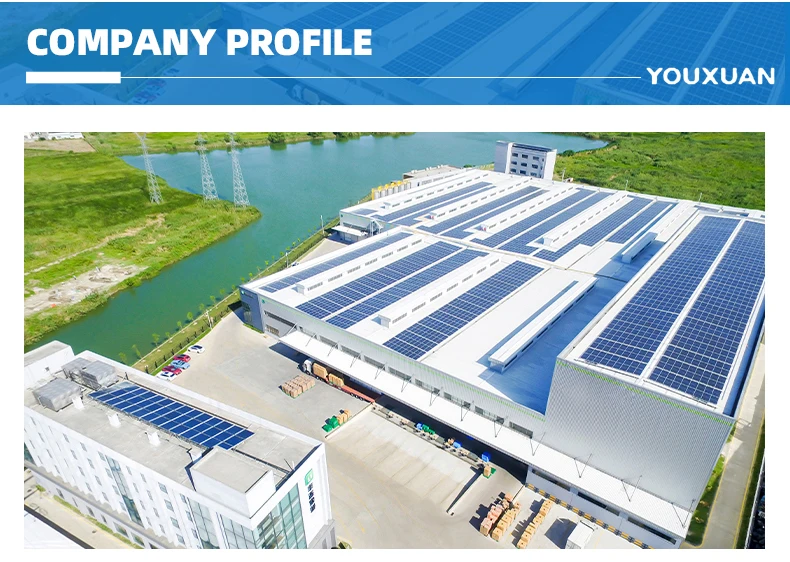 YOUXUAN Meal Automatic MAP Food Tray Sealing Sealer