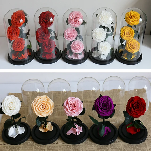 Beauty And The Beast Rose In Glass Dome With Led Real Preserved Eternal ...