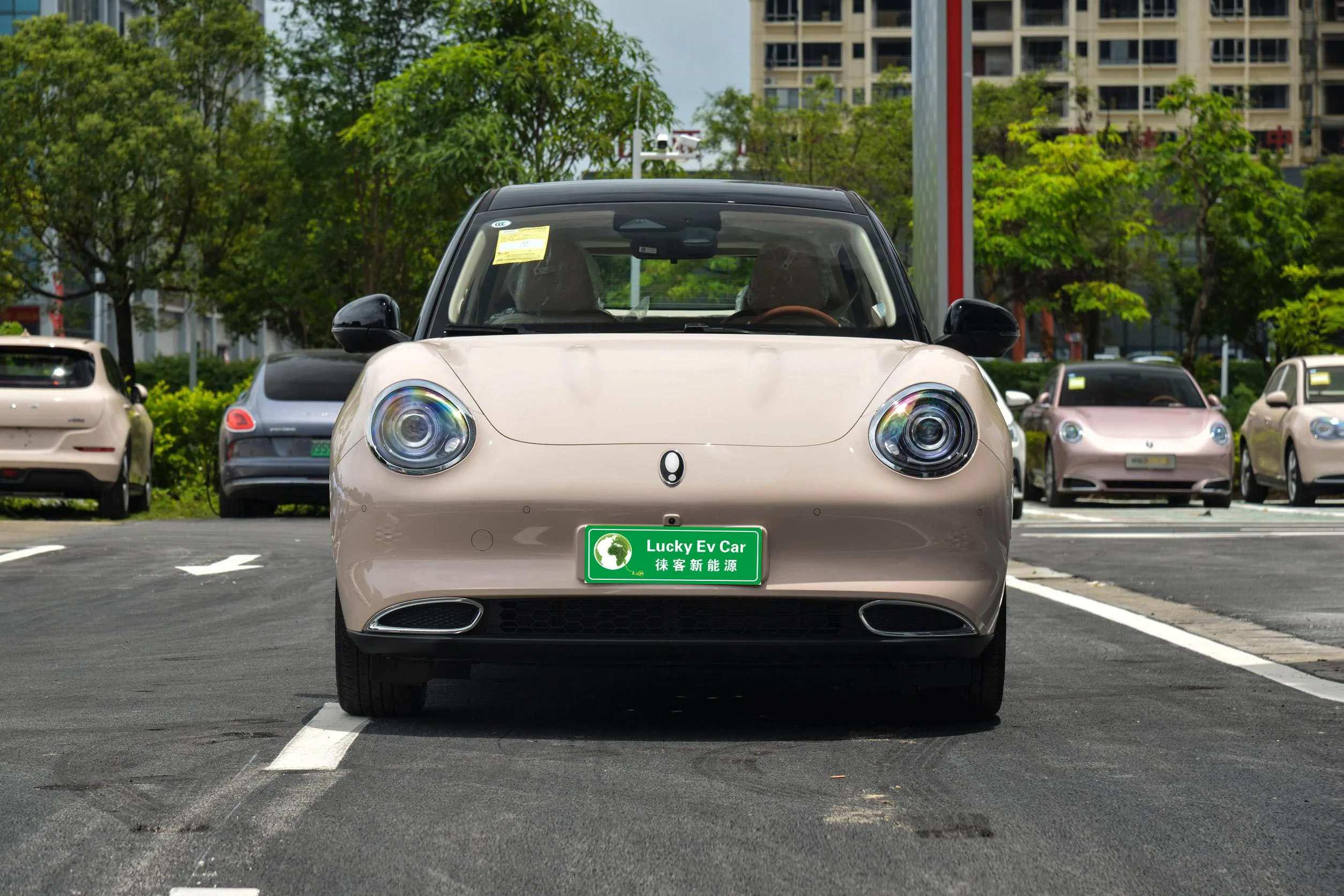 Ora Cat 2024 Euler Good Cat 501km Luxury Version Long Battery Electric ...