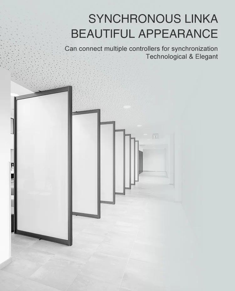 Doortec Automatic Pivot Door With Intelligent Controller And Beautiful ...