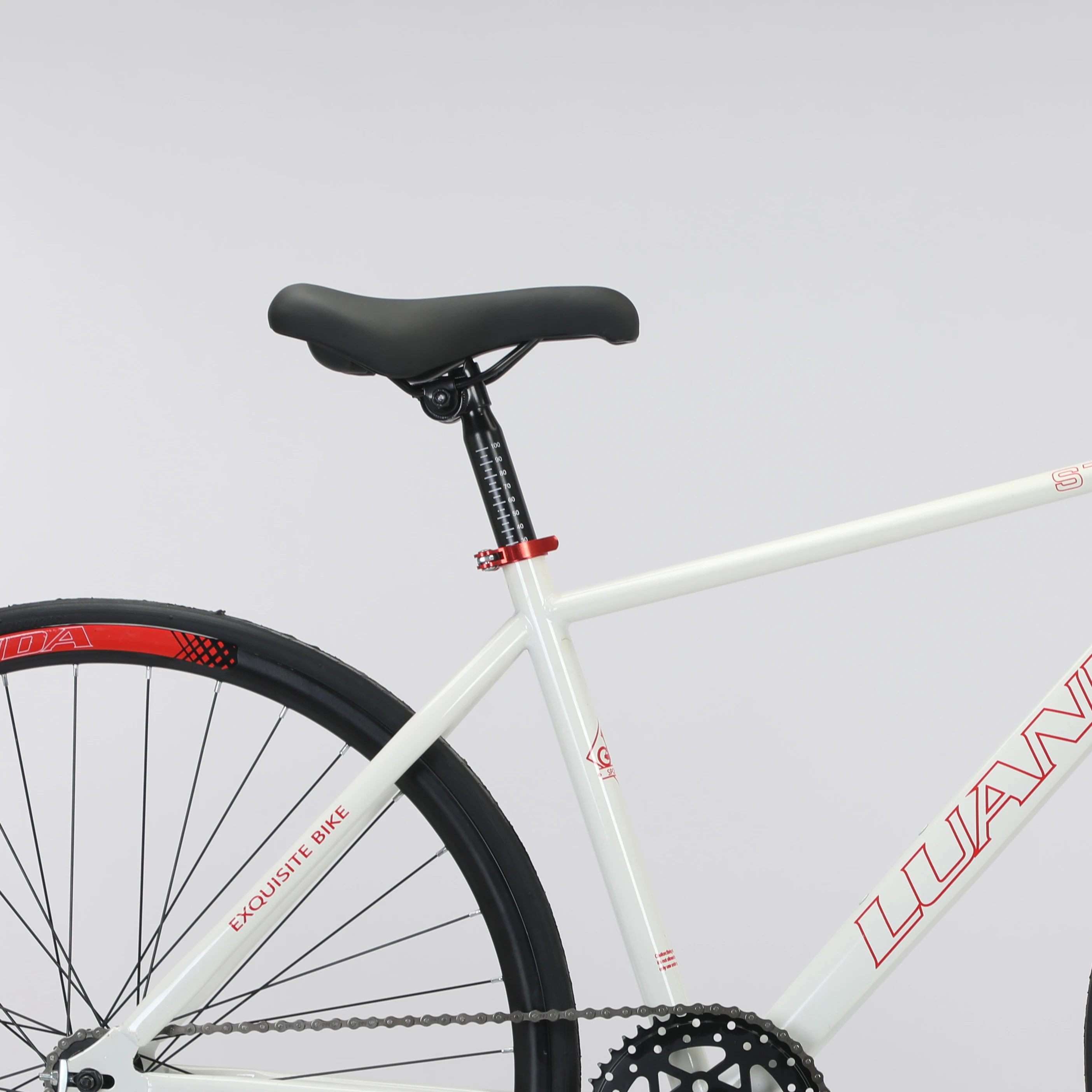 Beautiful Fixed Gear Bikes - Nice Model Color 700C Fixie