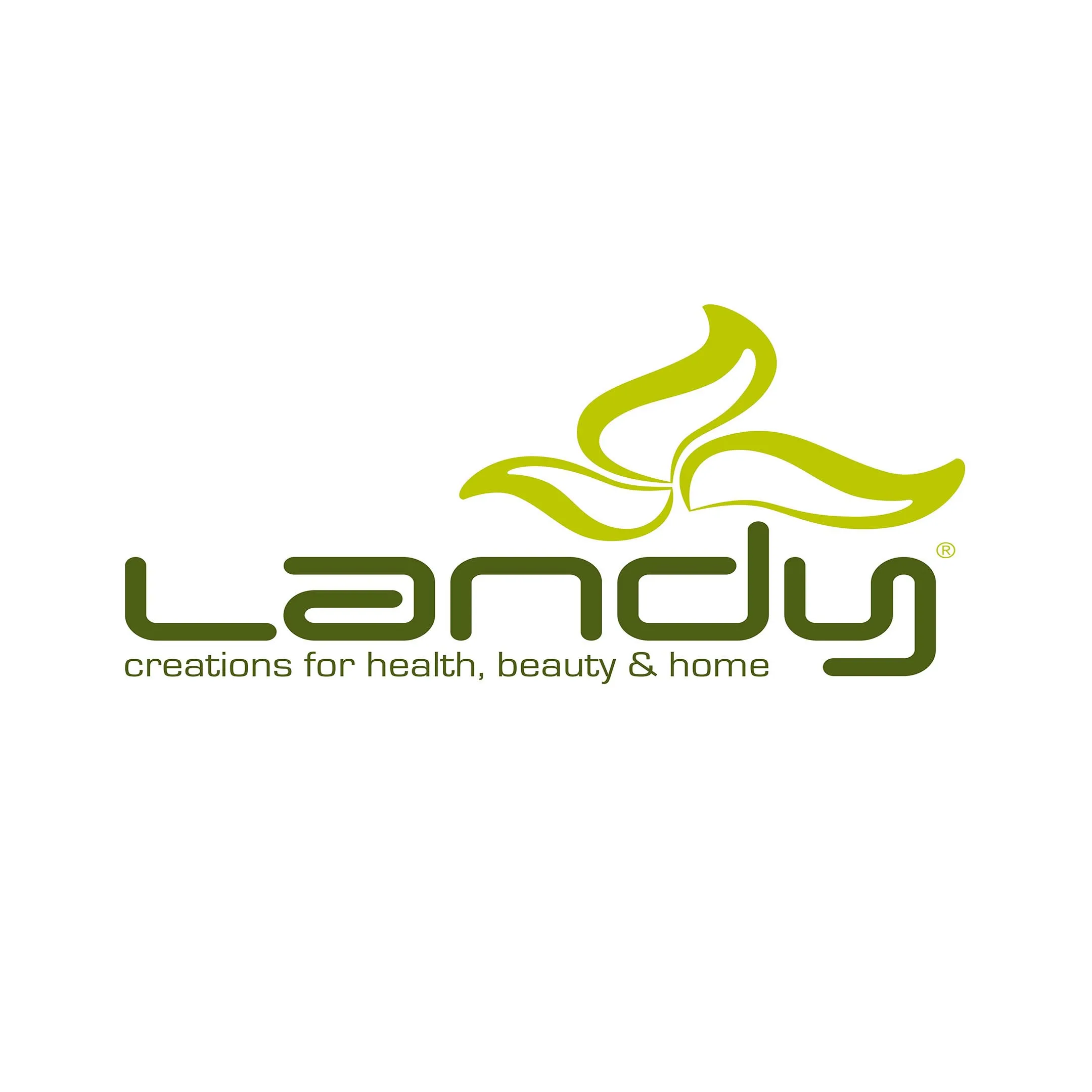 Company Overview - Landy International