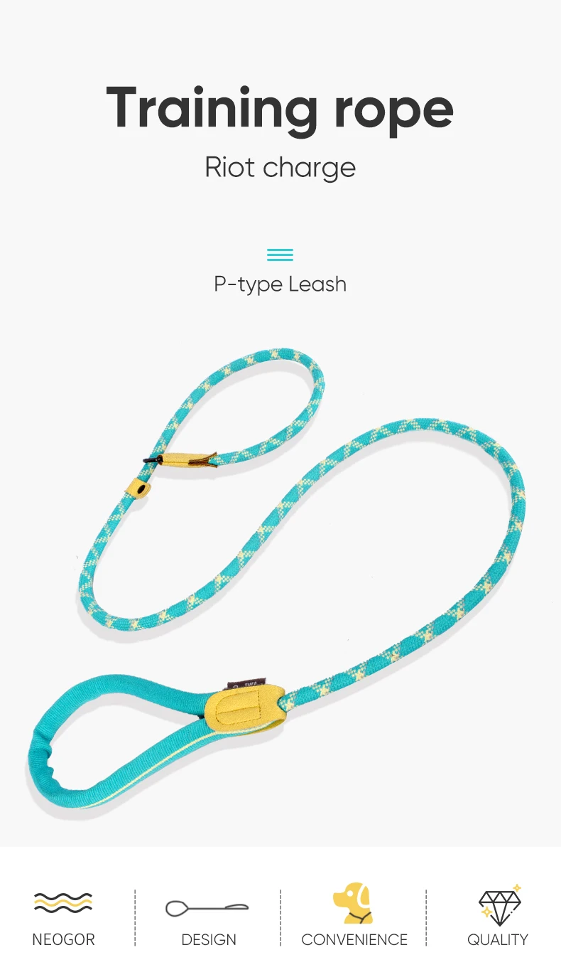 British-style Slip Lead|waterproof Dog Leash| No Pull Training Rope ...