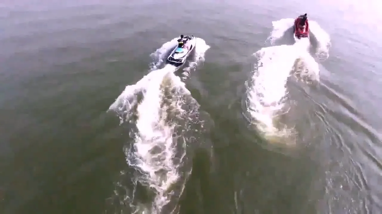 250cc Motorboat Double Hison Jet Ski Wave Boat Jet Ski - Buy Motorboat ...