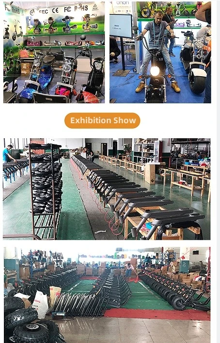 800/1000W Enclosed Electric Tricycle Three Wheel Closed Passenger ...