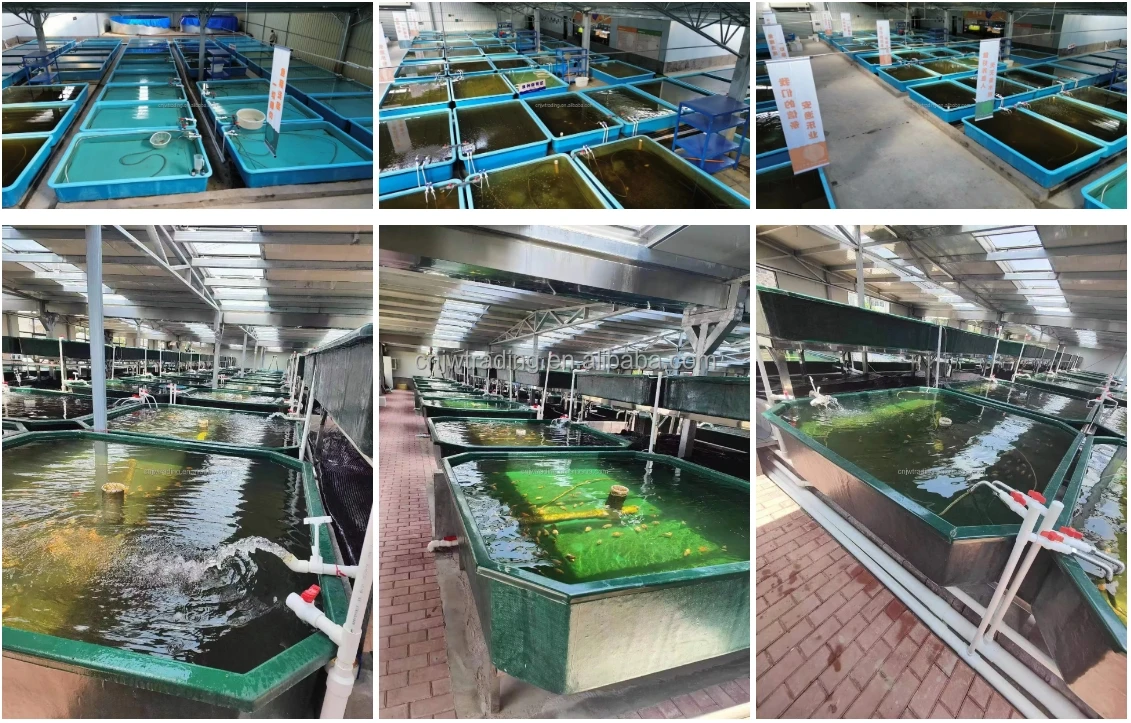 1000 Gallon Fiberglass FRP Aquaponics Bio Flock Filter Fish Tank for Sale