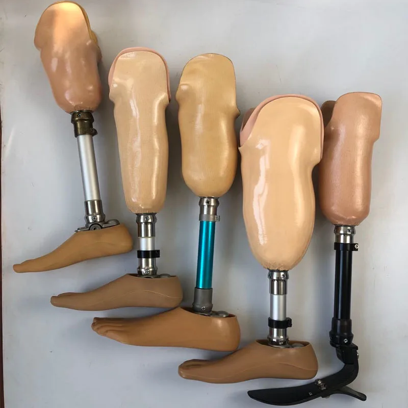 Factory Supplier Artificial Limbs Prosthetic Leg Lower Limbs Bk Leg For ...