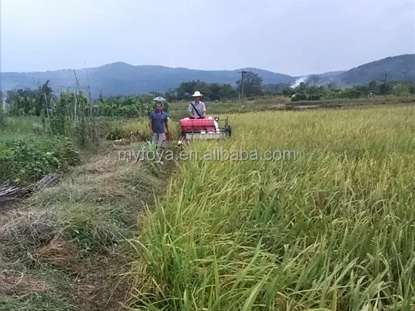 Mini Combine Rice Harvesting Machine - High Productivity