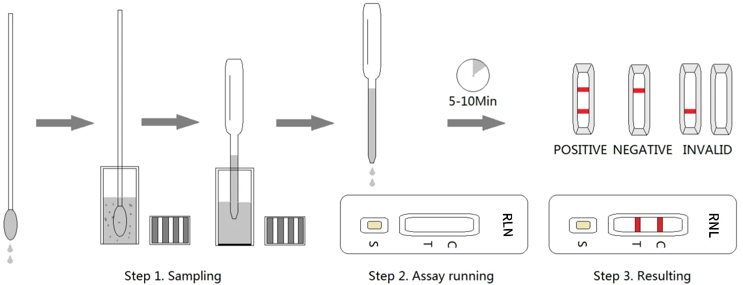 Dog Relaxin Pregnancy Rapid Test Strips - Buy Quick Detection Canine ...