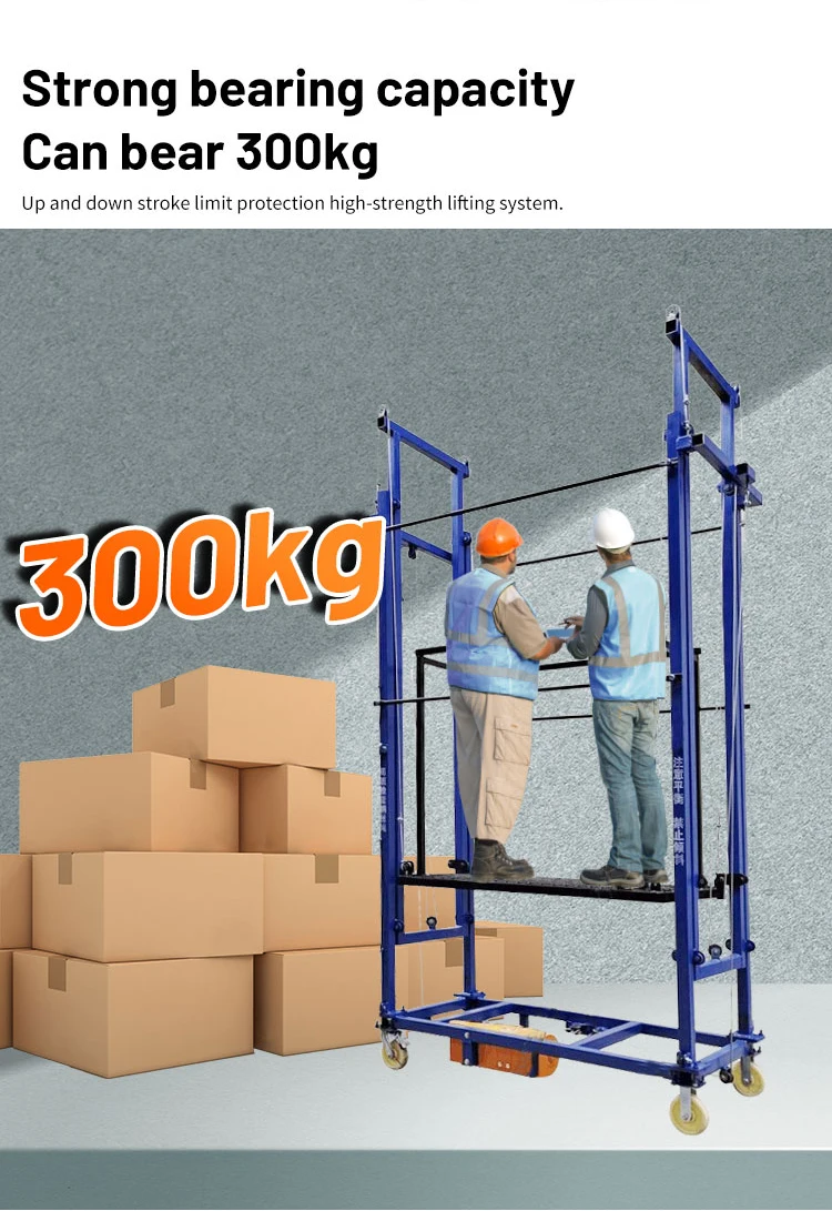 6m Electric Scaffolding Hoist & Ladder Lift With Customizable Options Oem