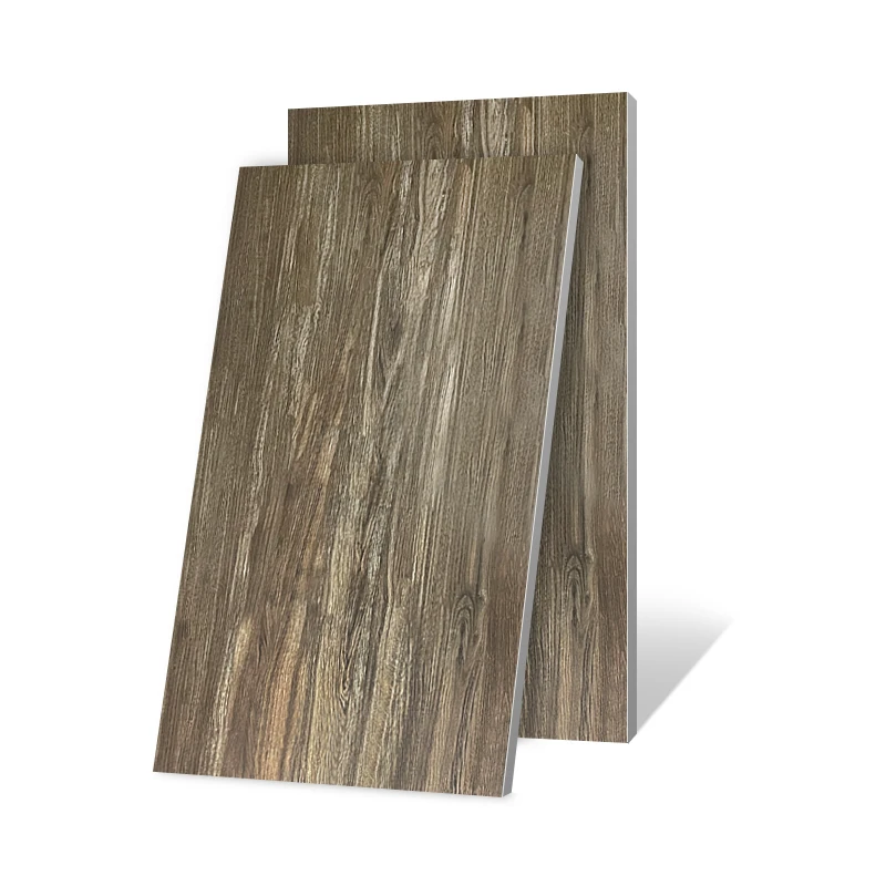 Living Room 48x24 Matte Porcelain Ceramics Full Body Floor Tiles Design ...