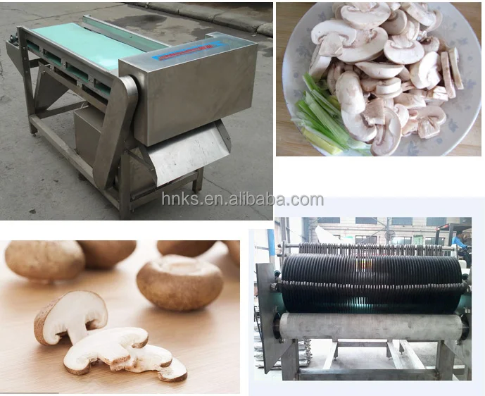Mushroom Cutting Seaweed Mushroom Cutting Slicing Slicer Machine ...