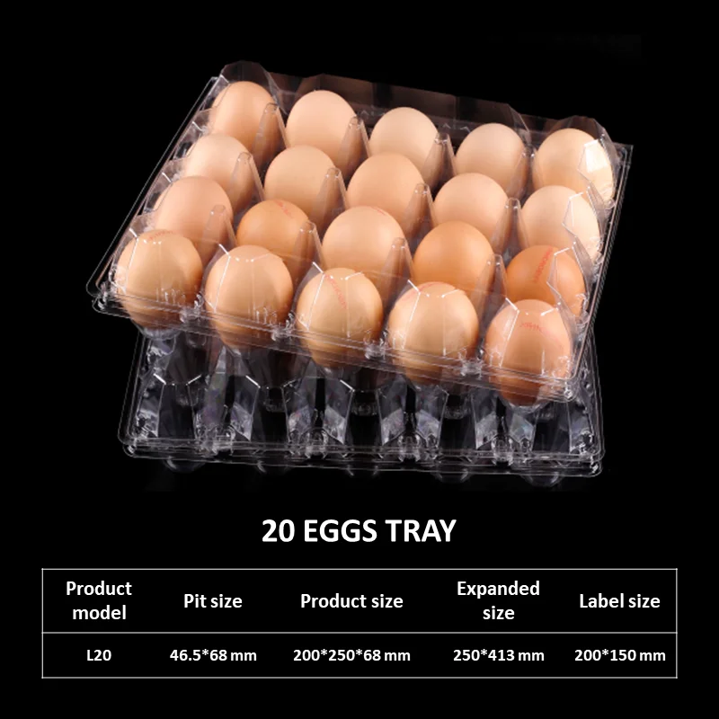 Transparent PET Egg Carton with Handle for Eggs Storage - OEM/ODM