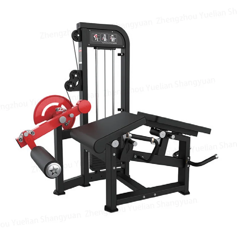 Heavy Duty Commercial Leg Extension Machine for Quadriceps Development ...