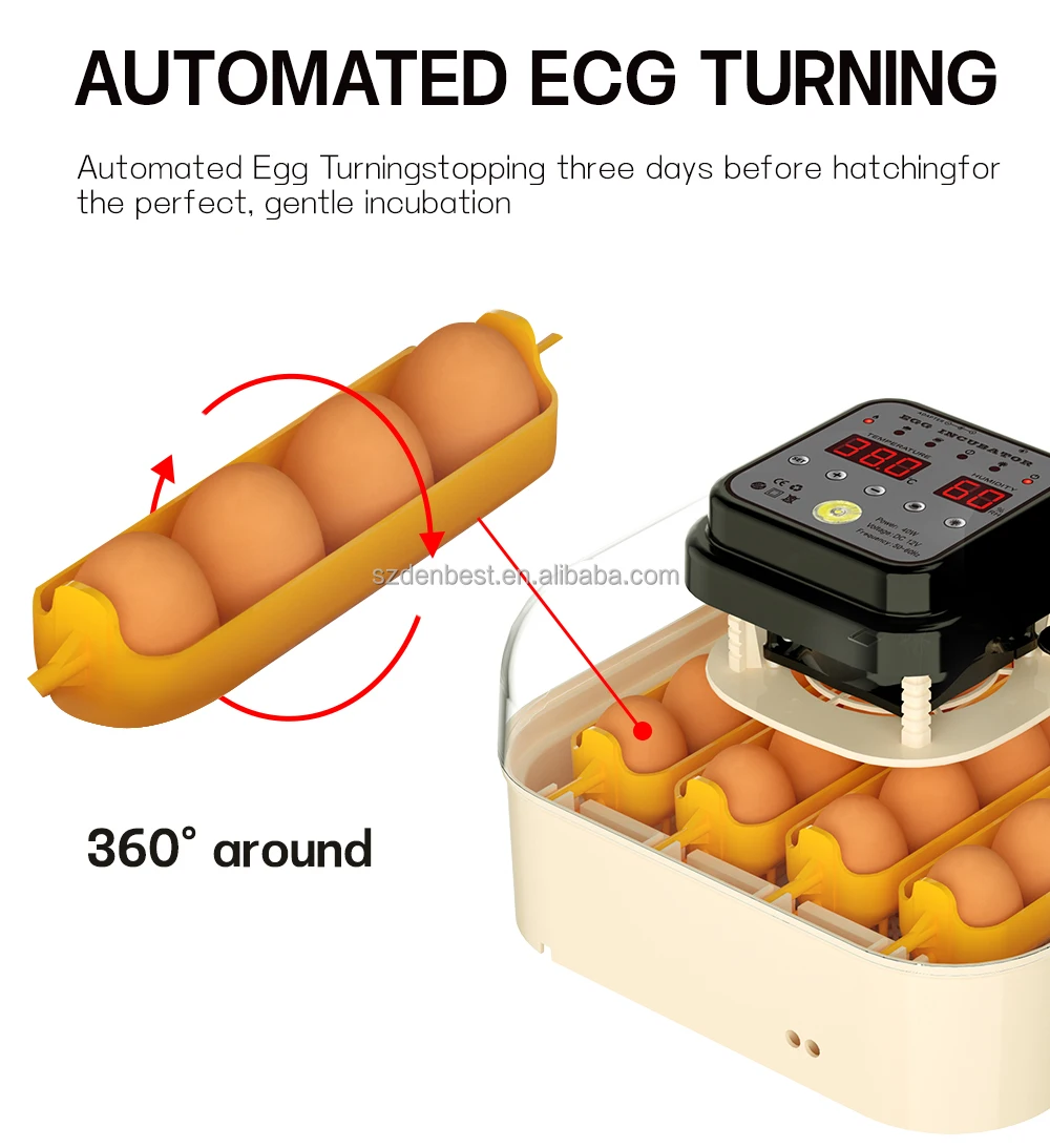 30 Egg Capacity Dual Power Chicken Incubator - High Accuracy