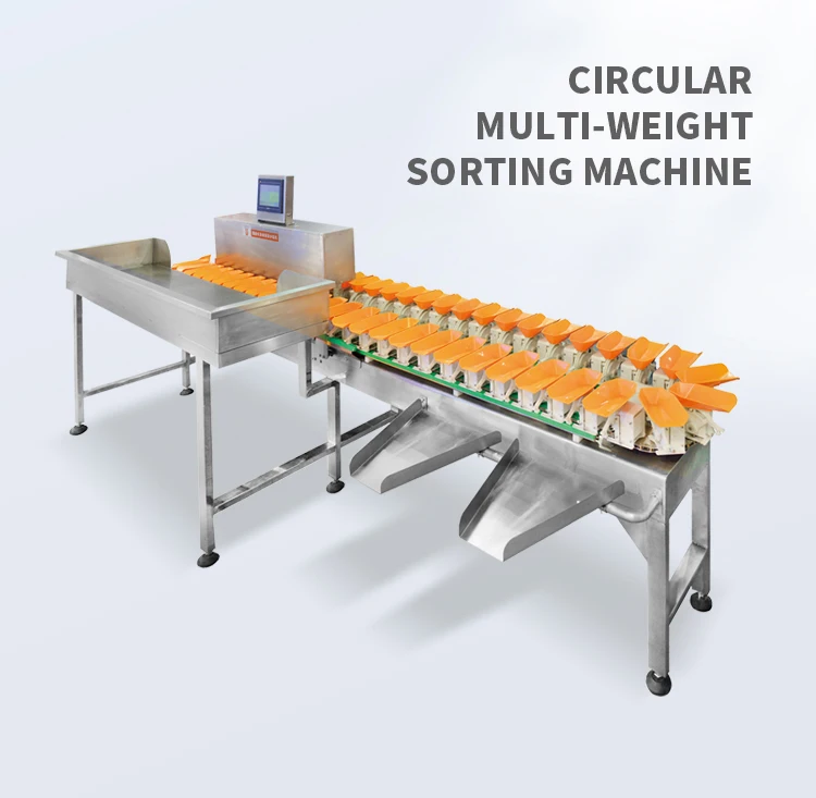 Efficient Fruit Sorting with Automatic Rotary Weight Grading Machine